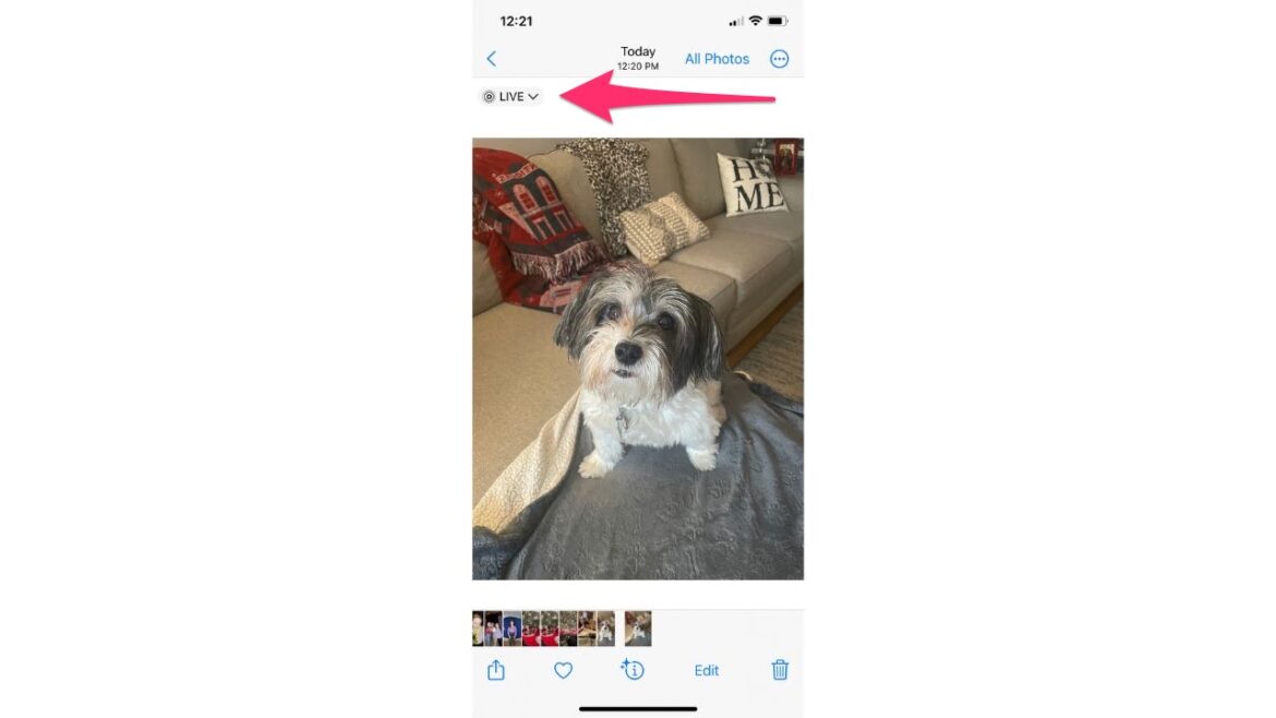 How to turn Live Photos on and off on iPhone - CyberGuy