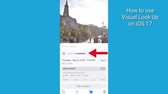 How to use the ‘Visual Look Up’ feature on iOS 17 to find information ...