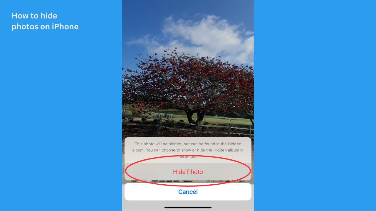 How to hide photos on your iPhone and Android from snoops - CyberGuy