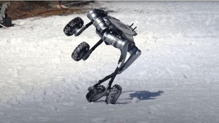 Wheeled wonder robot dog shows off crazy dance moves in all kinds of ...