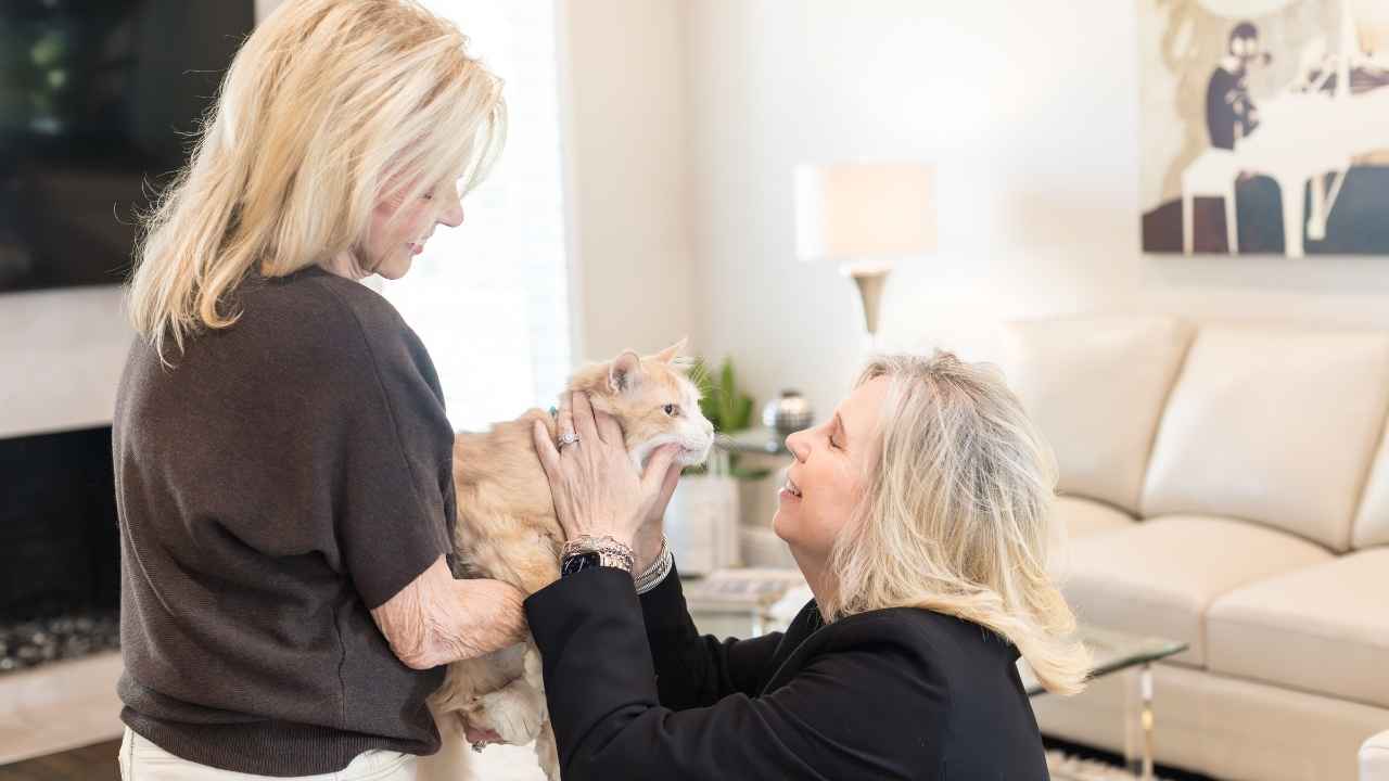 AI photo match reunites Texas woman with lost cat after 103 days - CyberGuy