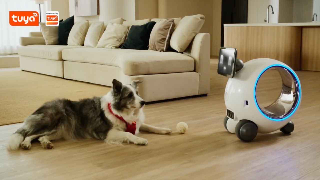 AI robot brings emotional care to pets - CyberGuy